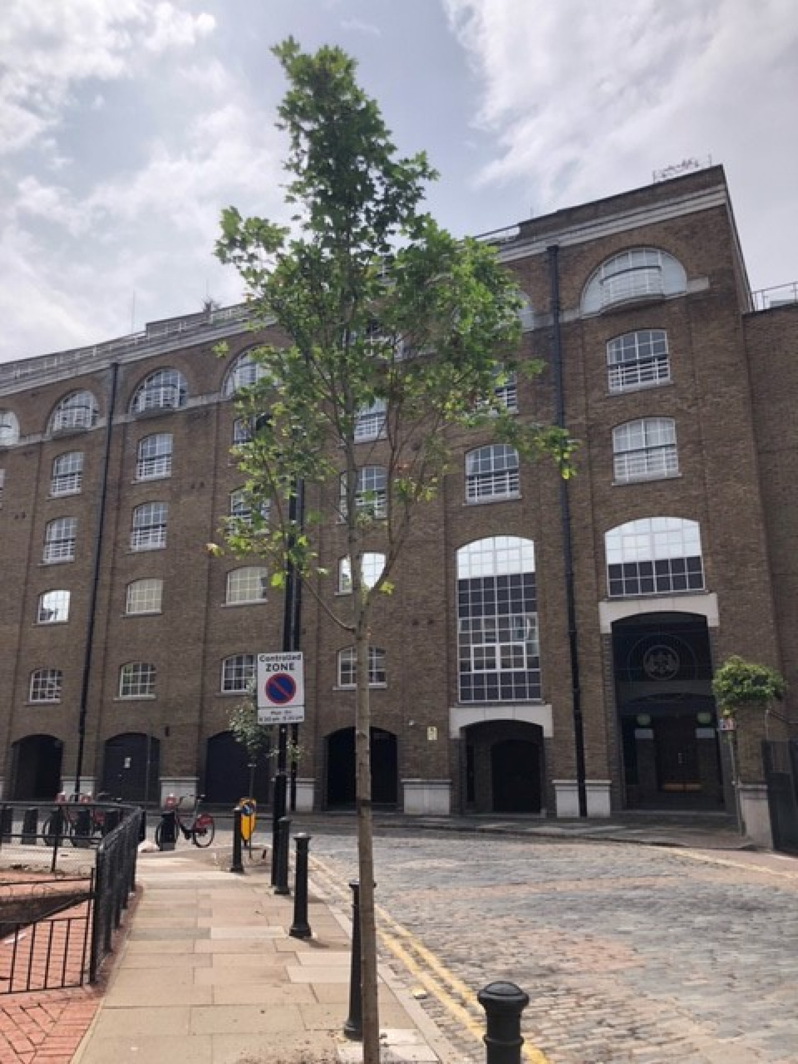 Let's fill Tower Hamlets with Trees - Trees for Streets