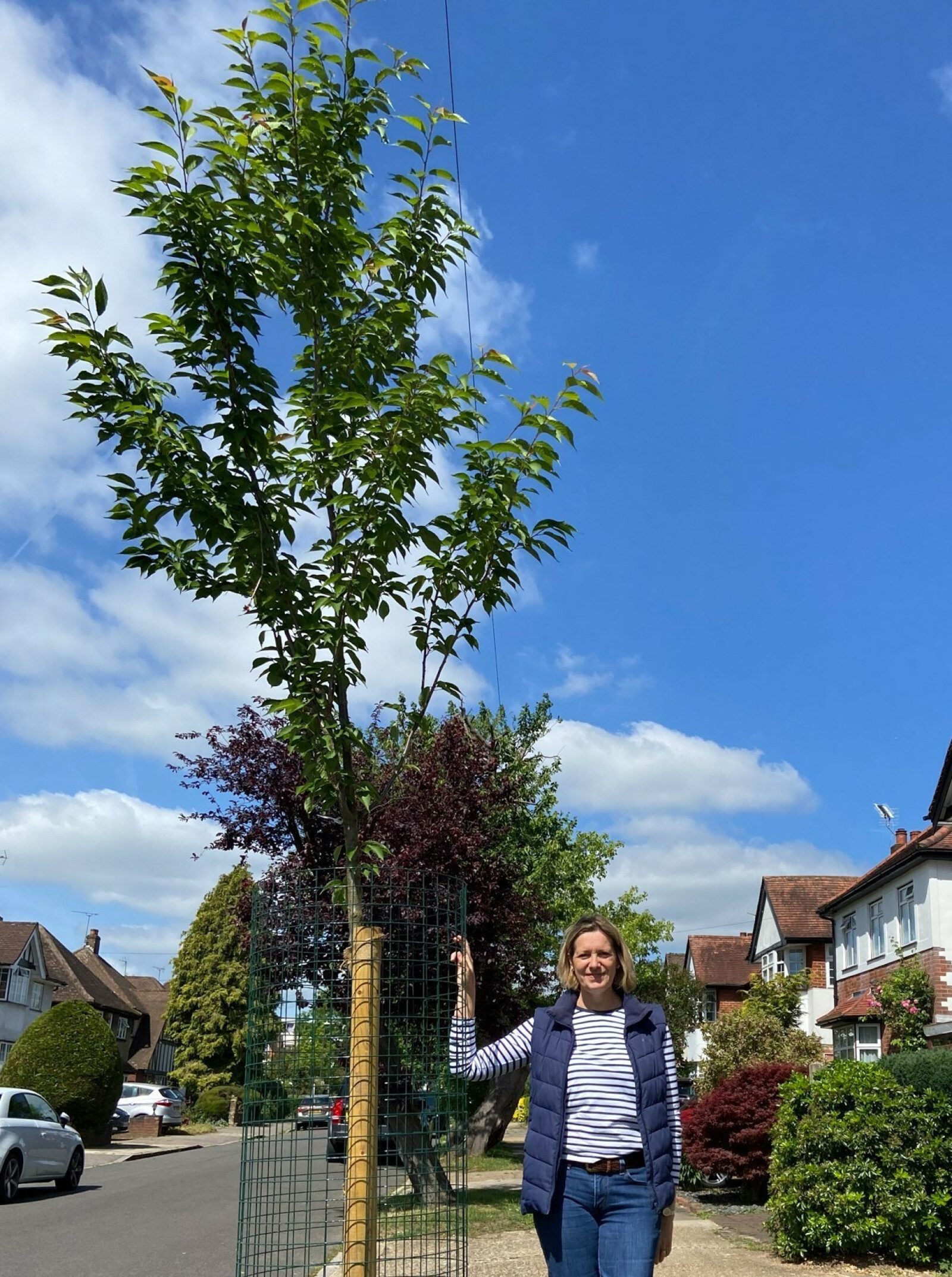 Let's fill Worthing with trees - Trees for Streets