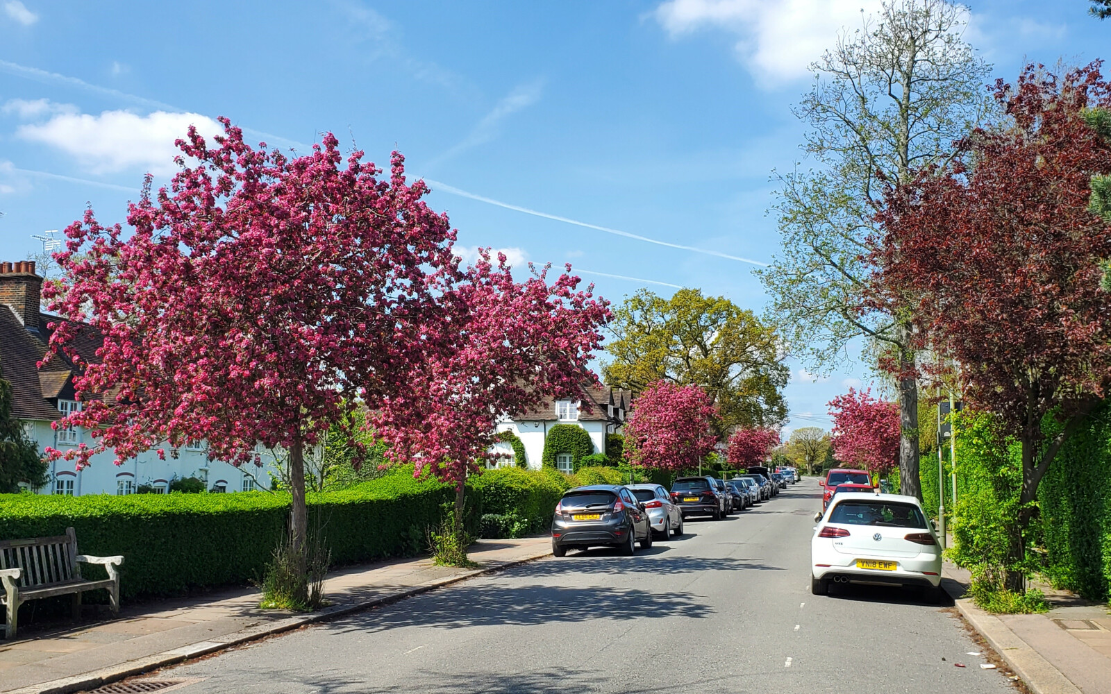 Let's keep Hampstead Garden Suburb filled with trees... - Trees for Streets