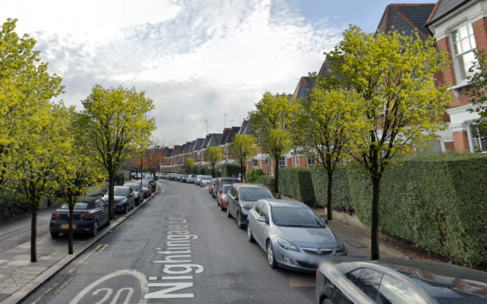 Let's fill Nightingale Lane with trees... - Trees for Streets