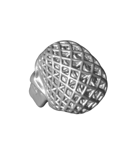 Architected Skull (FCC) | 3D model | DaveMakesStuff | Thangs