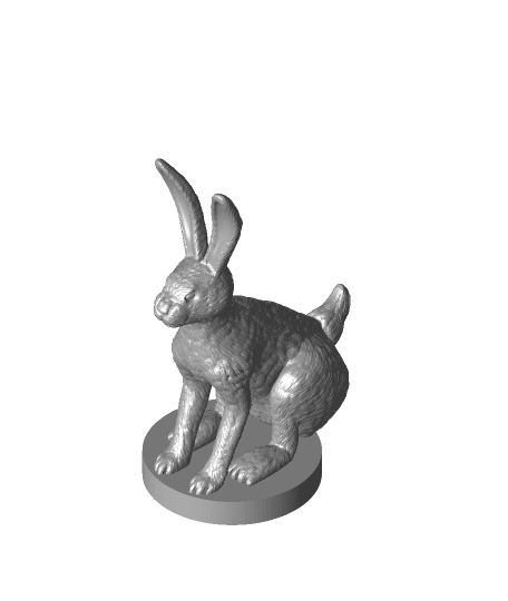 Jack Rabbit | 3D model | mz4250 | Thangs