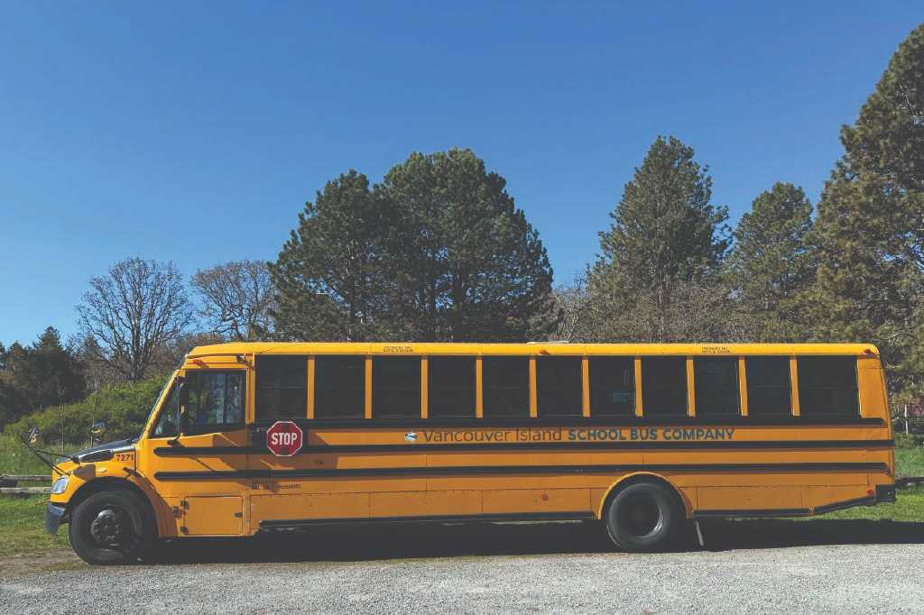 The Bus Network - Booking Widget
