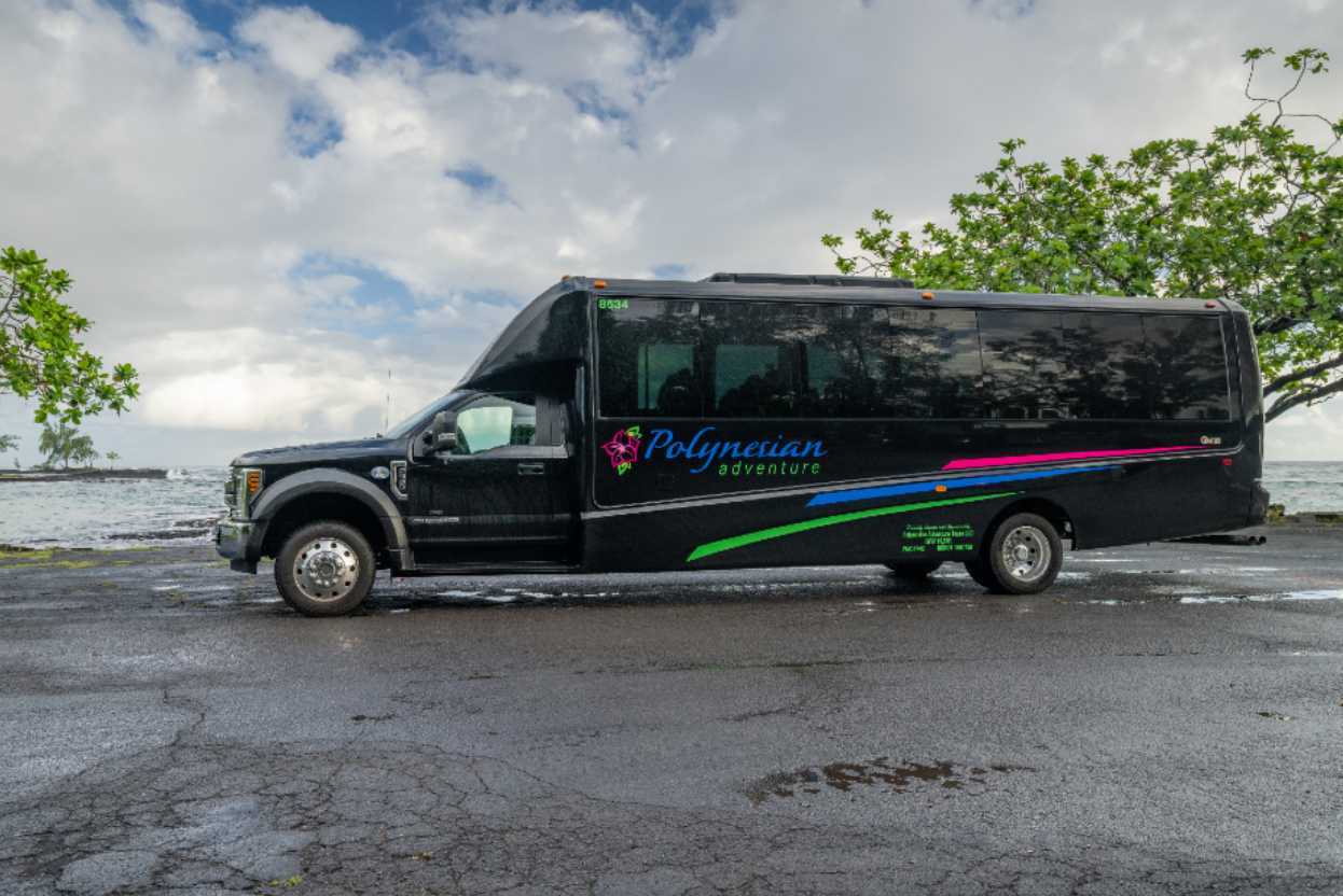 The Bus Network - Booking Widget