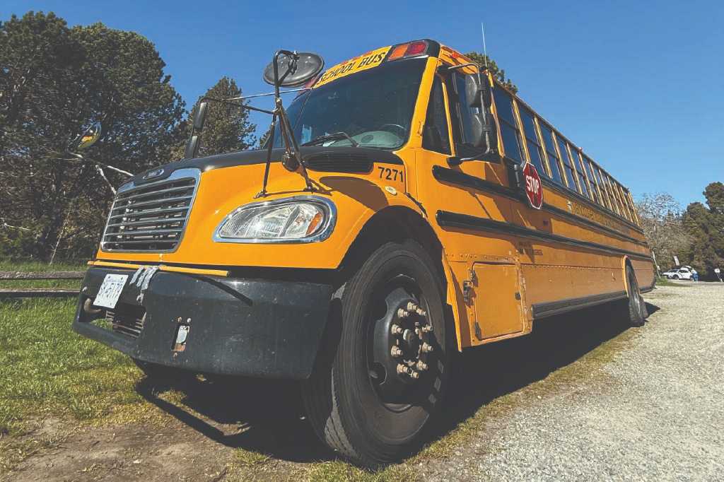 The Bus Network - Booking Widget