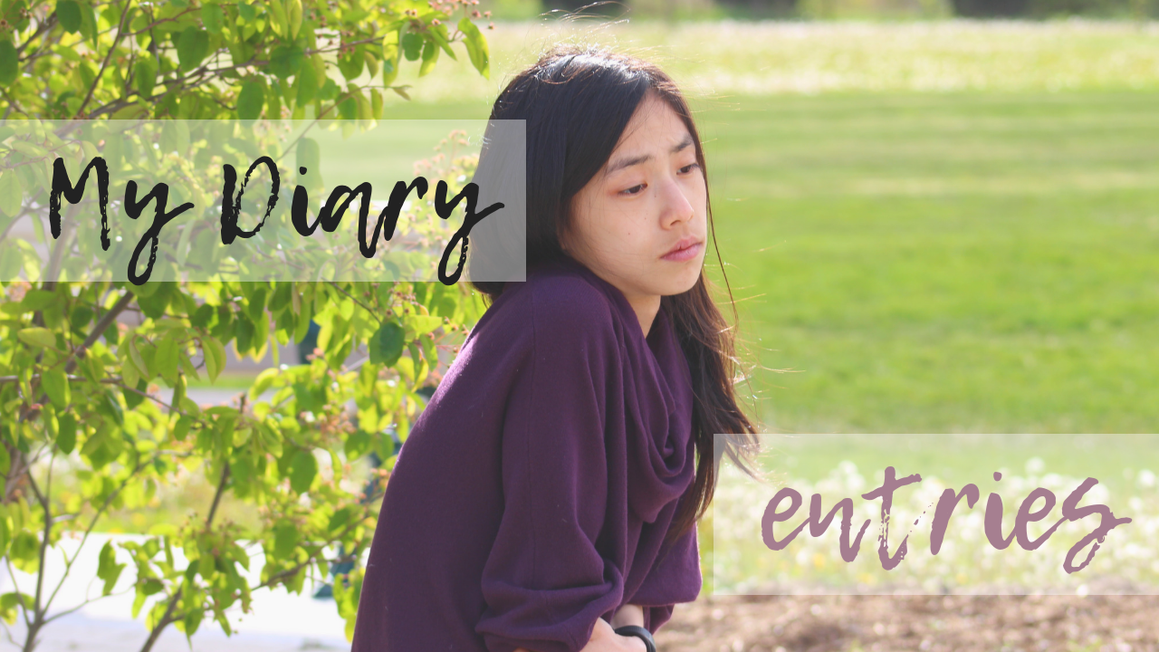 The Private Diary Entries - the Fitty