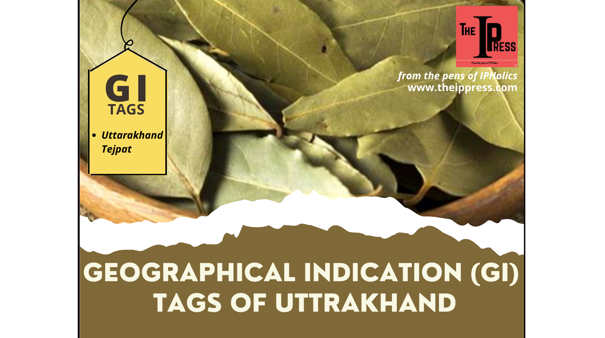 GEOGRAPHICAL INDICATION (GI) TAGS OF UTTARAKHAND – The IP Press
