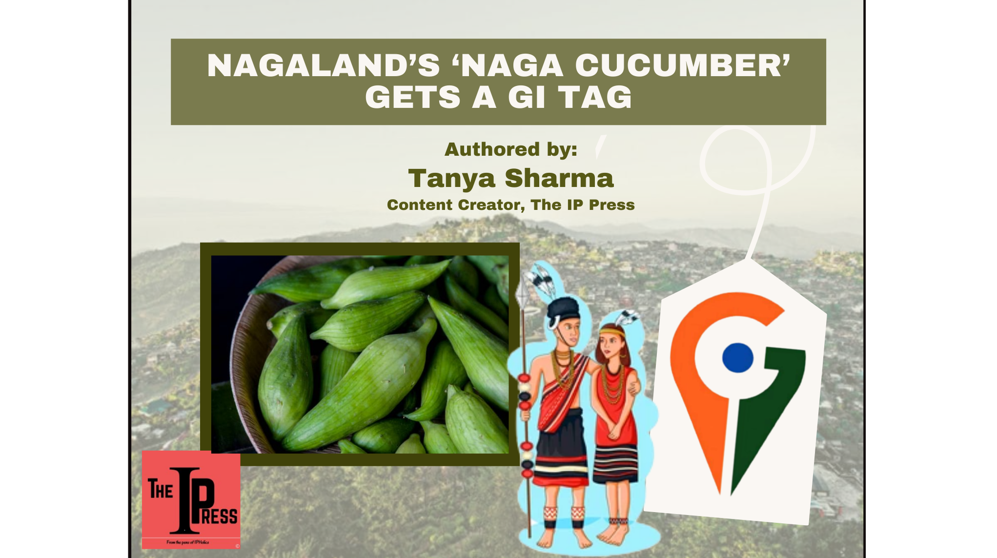 NAGALAND’S ‘NAGA CUCUMBER’ GETS A GI TAG – The IP Press