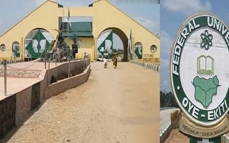 In Major Breakthrough, FUOYE Invents Mail Dispatch Mobile Robot ...