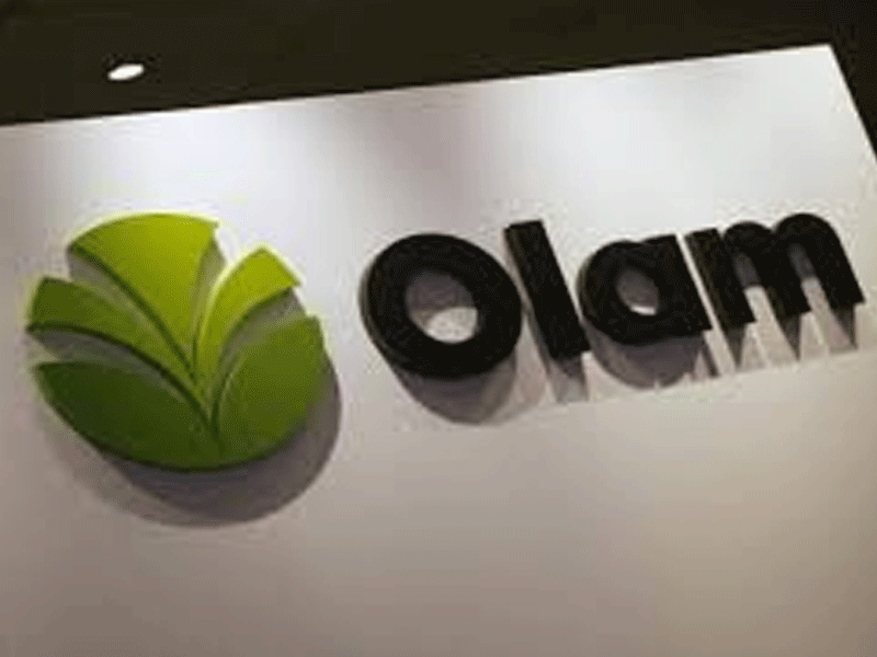 Olam Drives Nigeria’s Wheat Production with N300m Investment | THISDAYLIVE