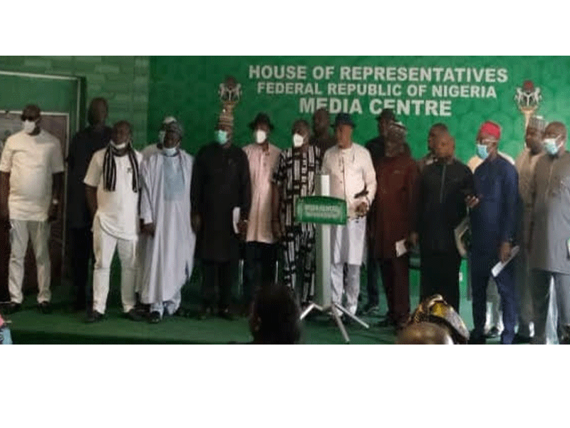Twitter Ban: House PDP Members Stage Walkout at Plenary | THISDAYLIVE