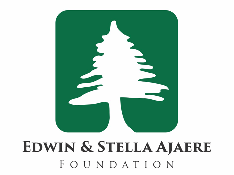 ESA Foundation Awards Multi-sector Grants to Nigerians | THISDAYLIVE