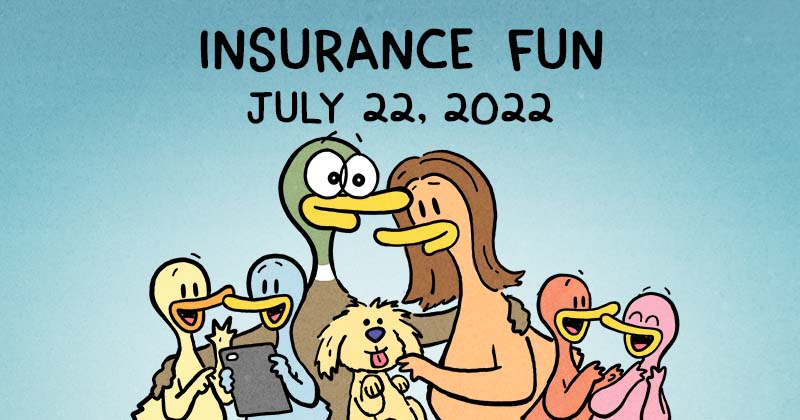 Insurance Fun