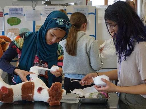 Pre-Vet Summer School