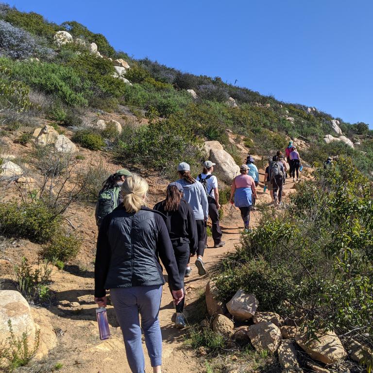 Morning Ranger-Led Hike