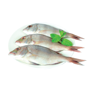 - Buy online on Tamimi Markets