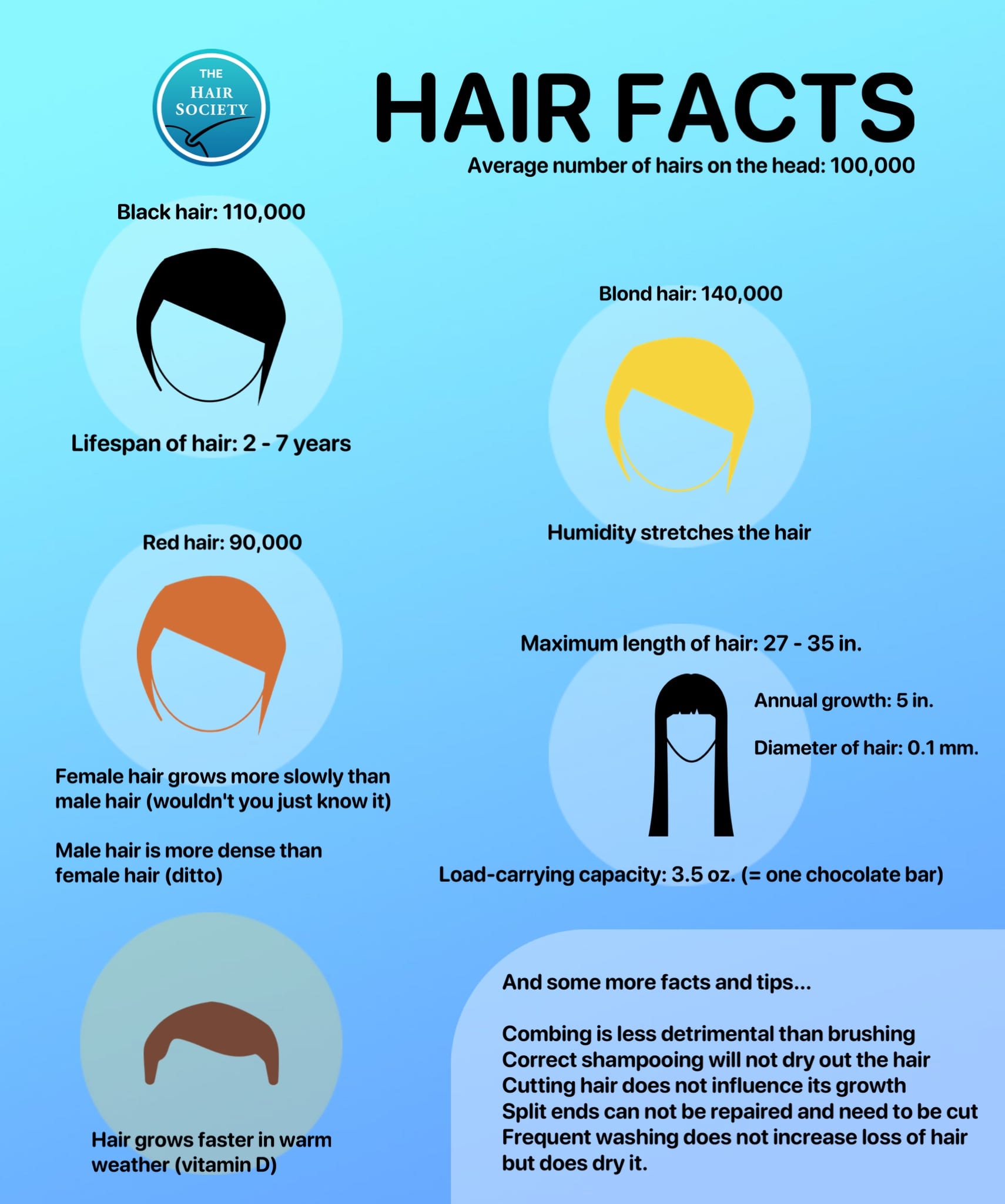 Fun Hair Facts - The Hair Society