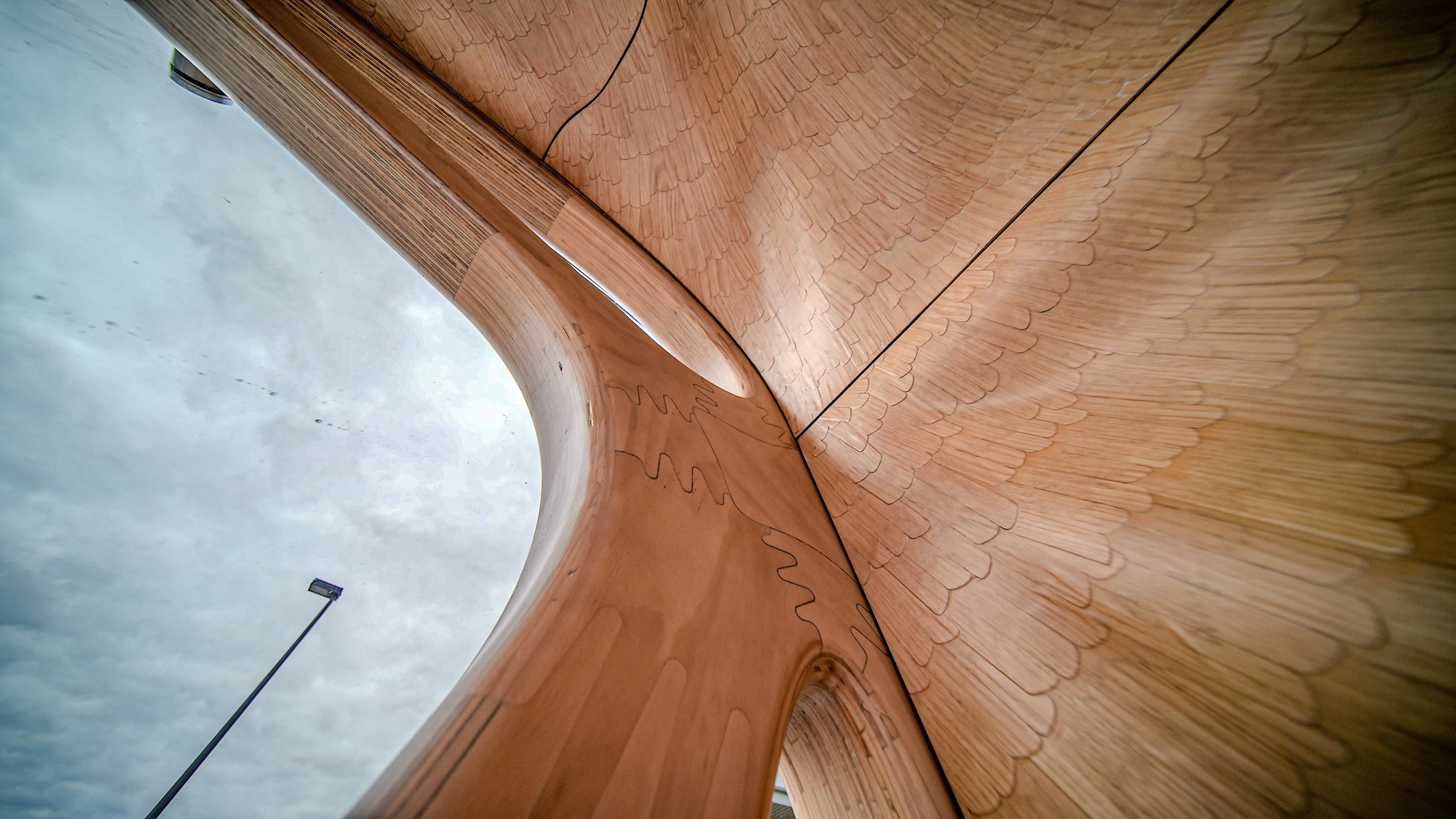 Nature’s Blueprint: Strong by Form’s Biomimetic Wood Aesthetic | tocco | tocco