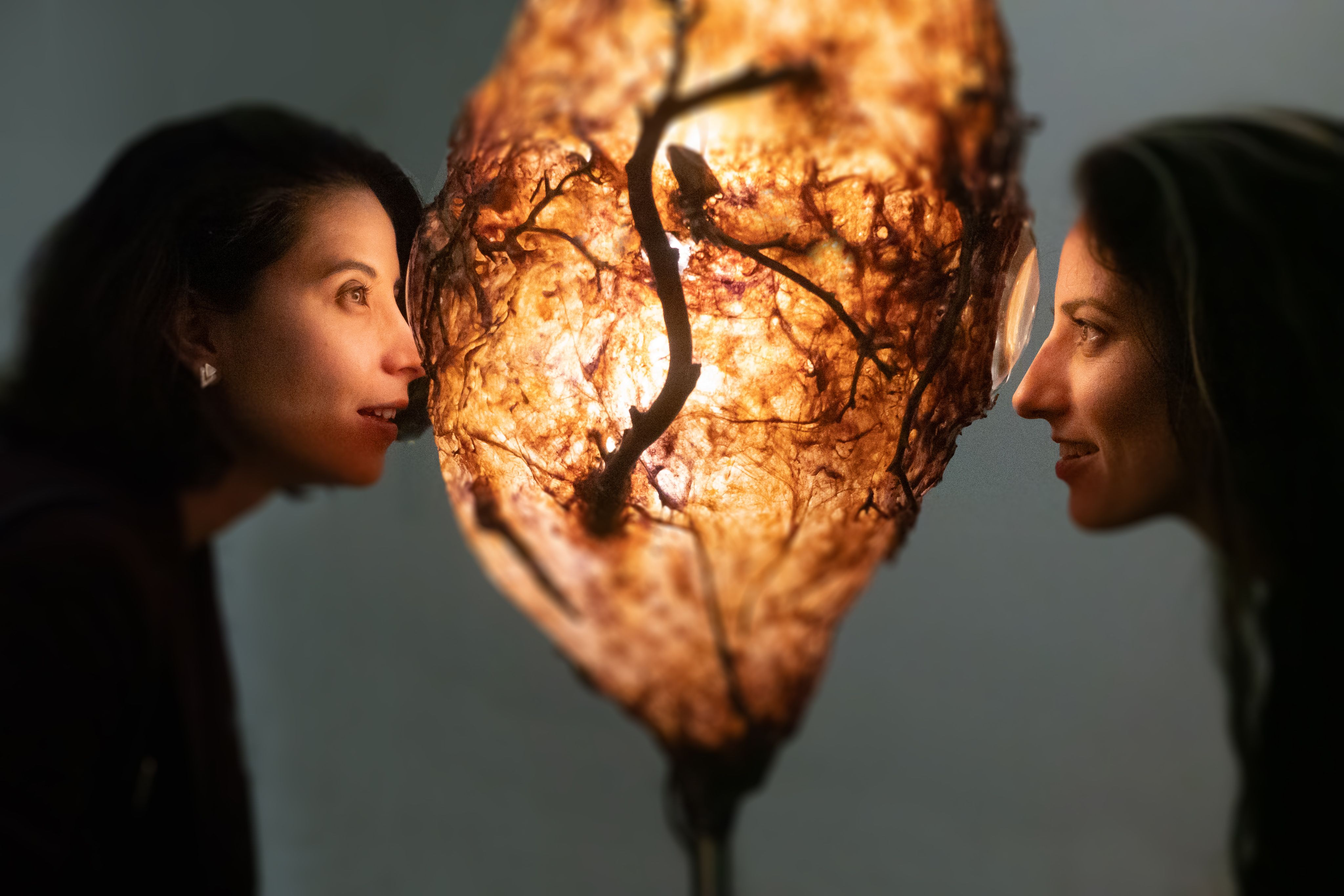 The Alchemy of Matter: Sabrina Merayo Nuñez on the Poetry and Paradoxes ...