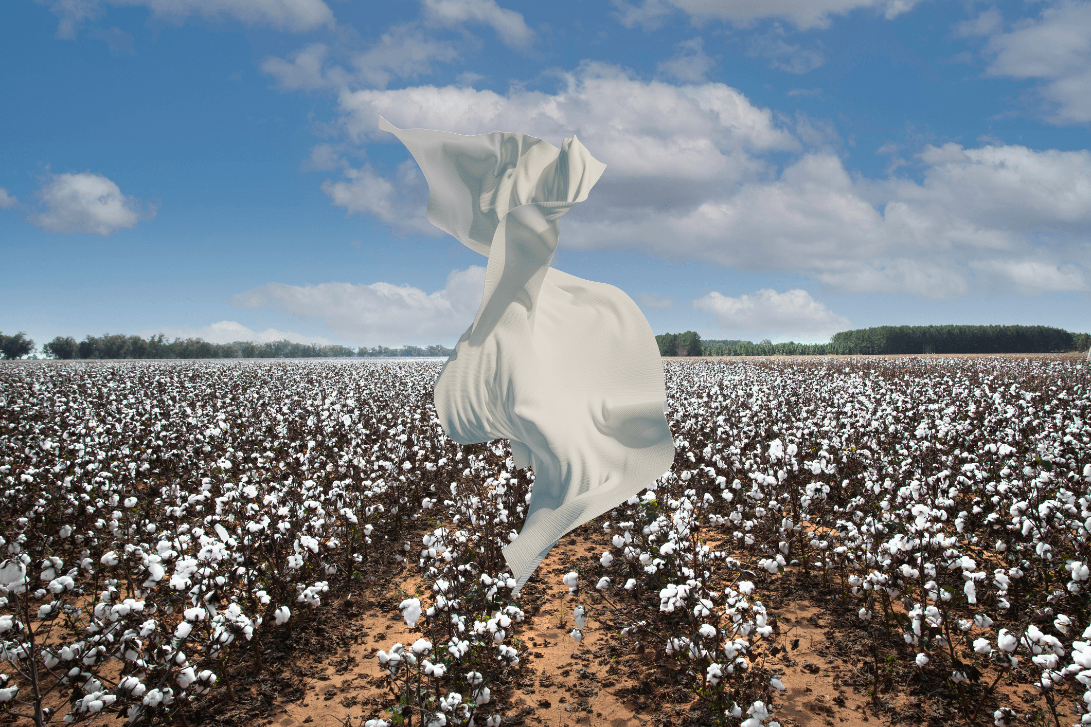 Plastic-free performance materials from NFW | tocco | tocco