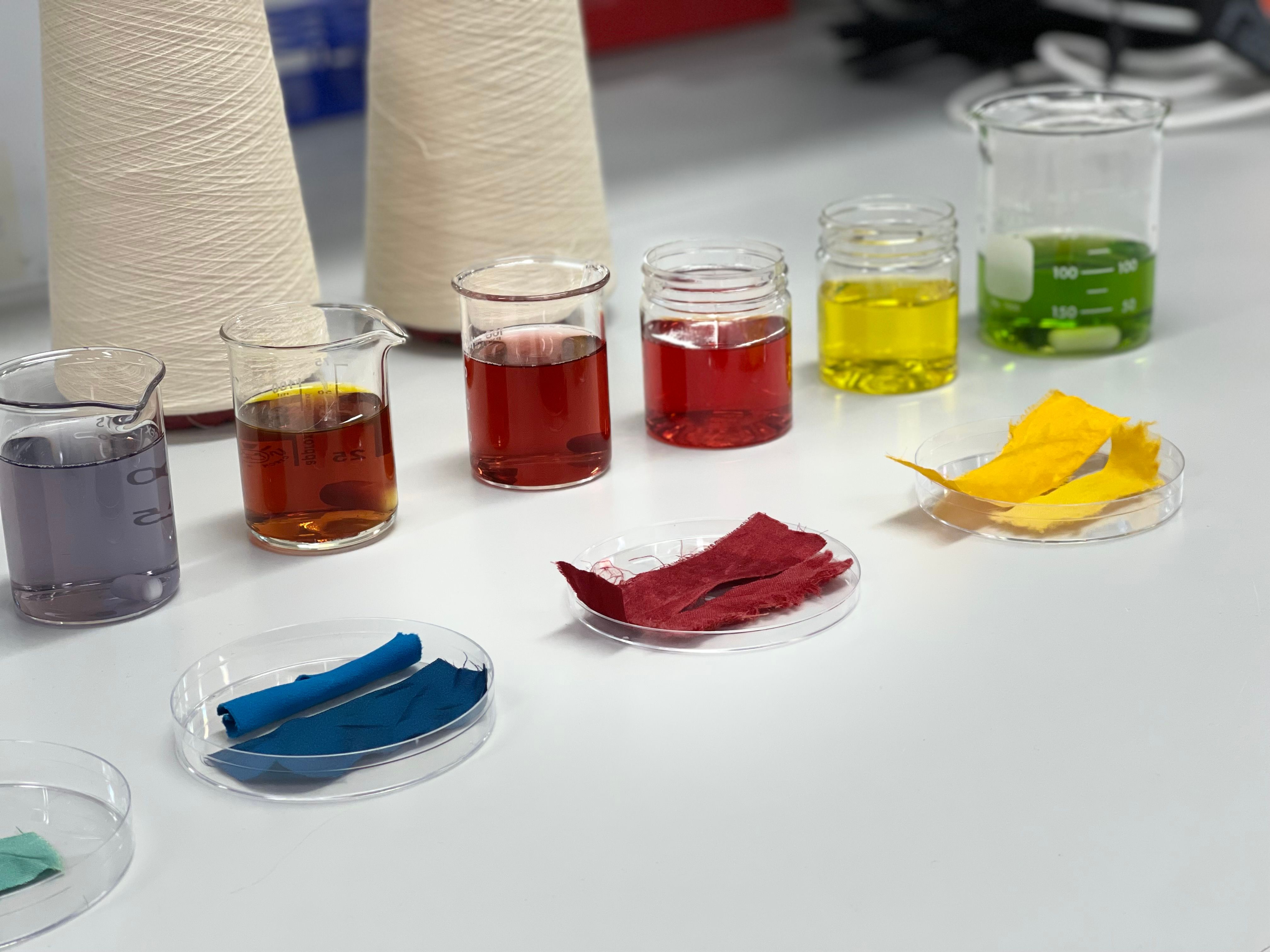 The Color Ledger: How Newera Bio Shapes the Future of Pigment and ...