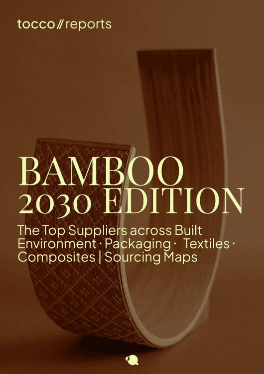 Download Tocco Report: Bamboo 2030 Edition [UPDATED] | Tocco.Earth