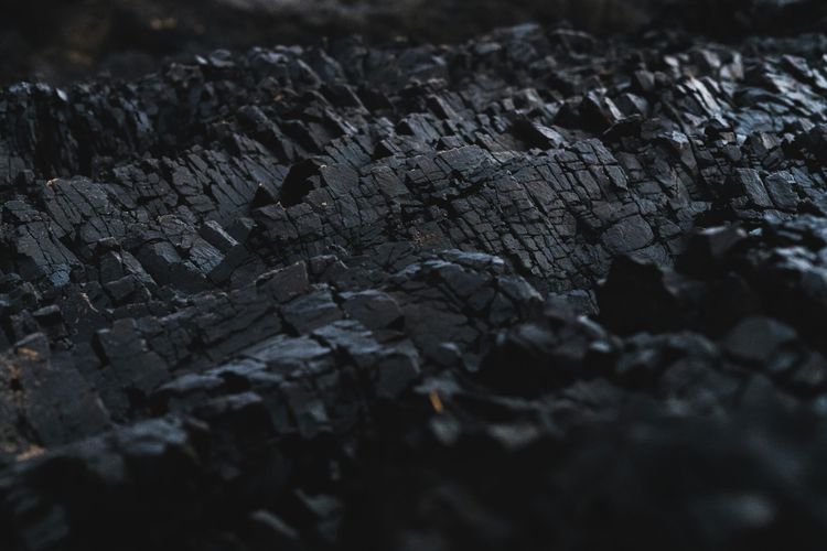 Biochar: A Climate Solution or a Financial Instrument? | Tocco.Earth