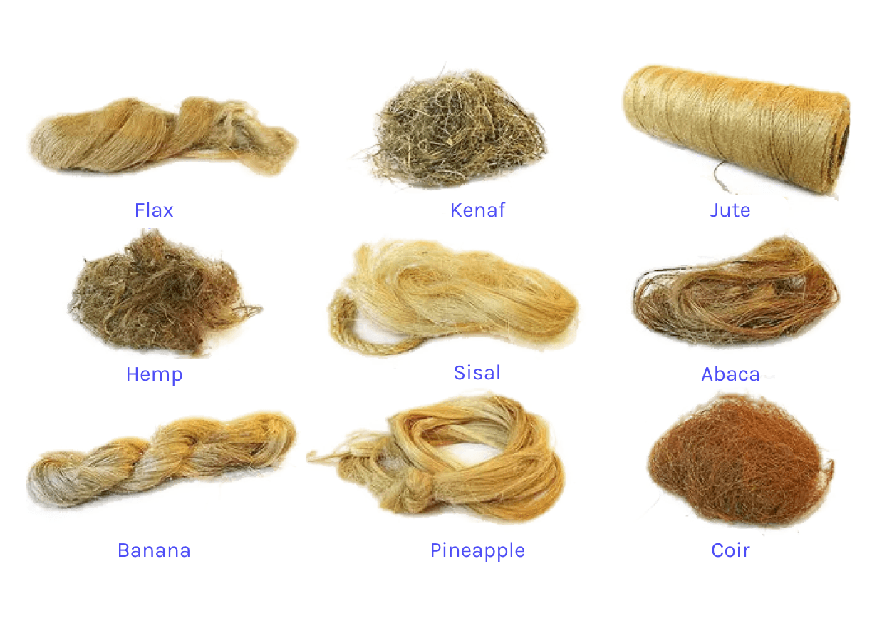 Natural Fibrous Materials
