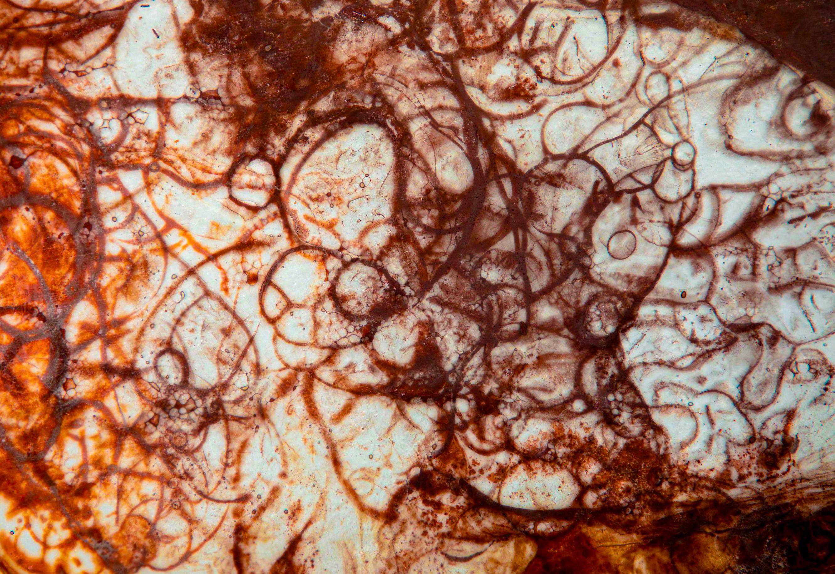 Glass, Oxide, Bloom: Inside the World of Ster Borgman’s Color Alchemy ...