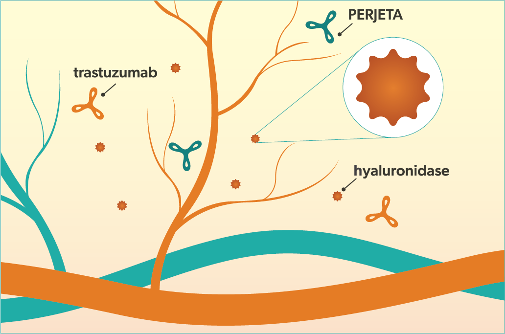 PHESGO is specially formulated with hyaluronidase