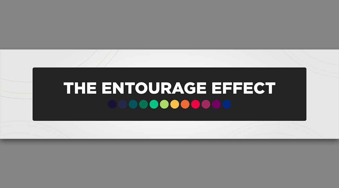 Understanding the Entourage Effect - Tranquil Earth