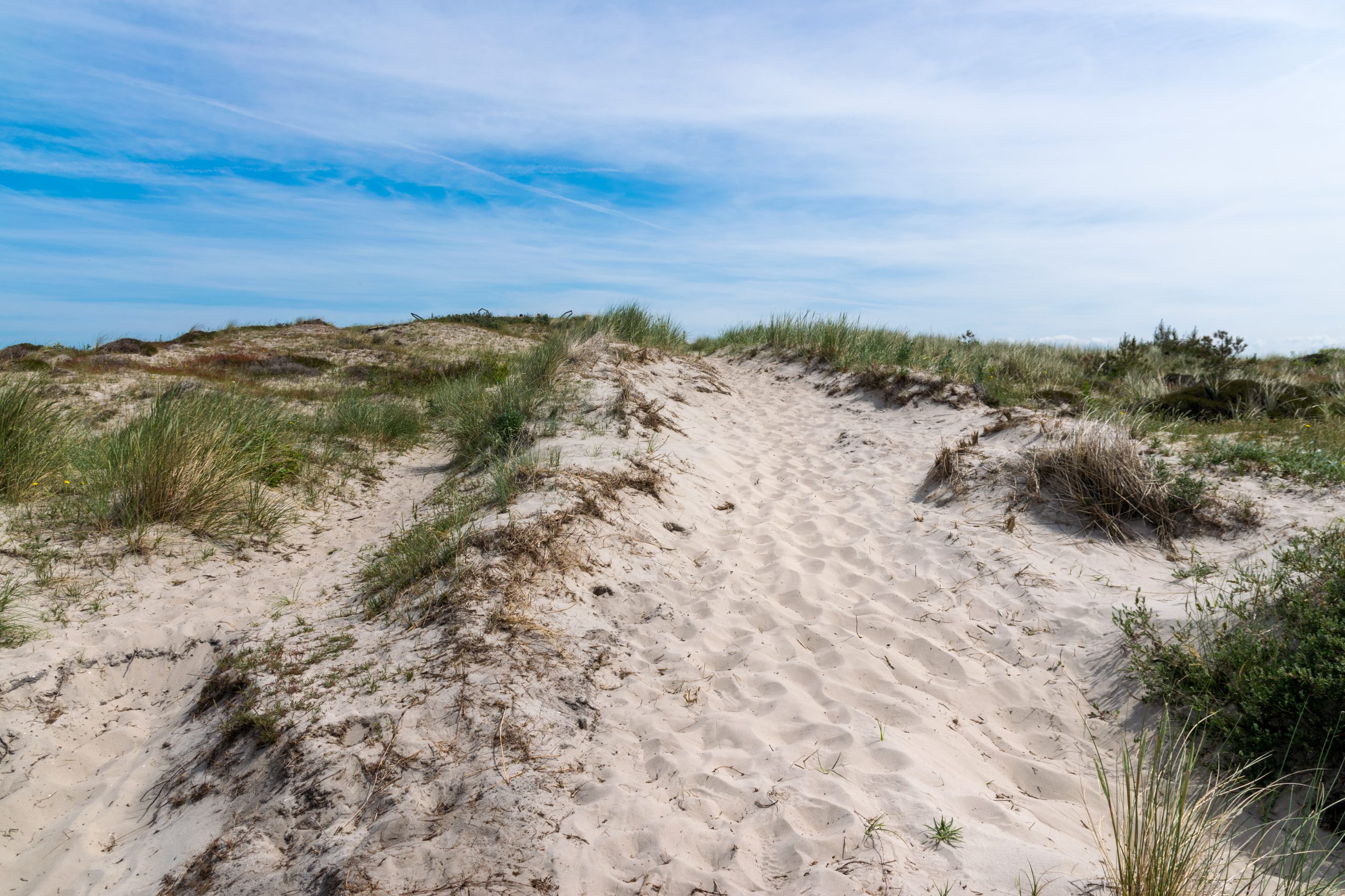 Wandelroute in Schoorl: de prachtige stuifduinentocht!