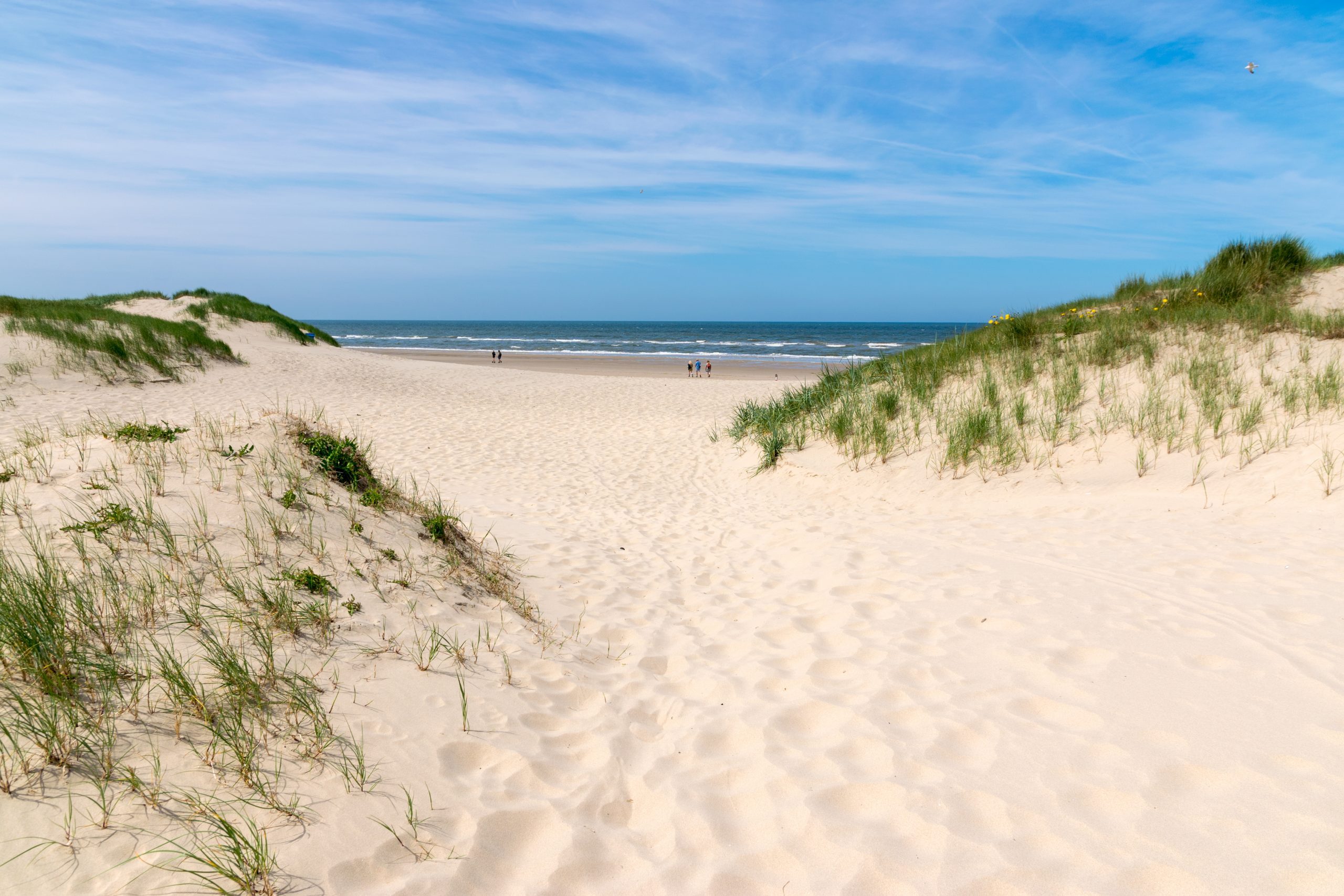 Wandelroute in Schoorl: de prachtige stuifduinentocht!