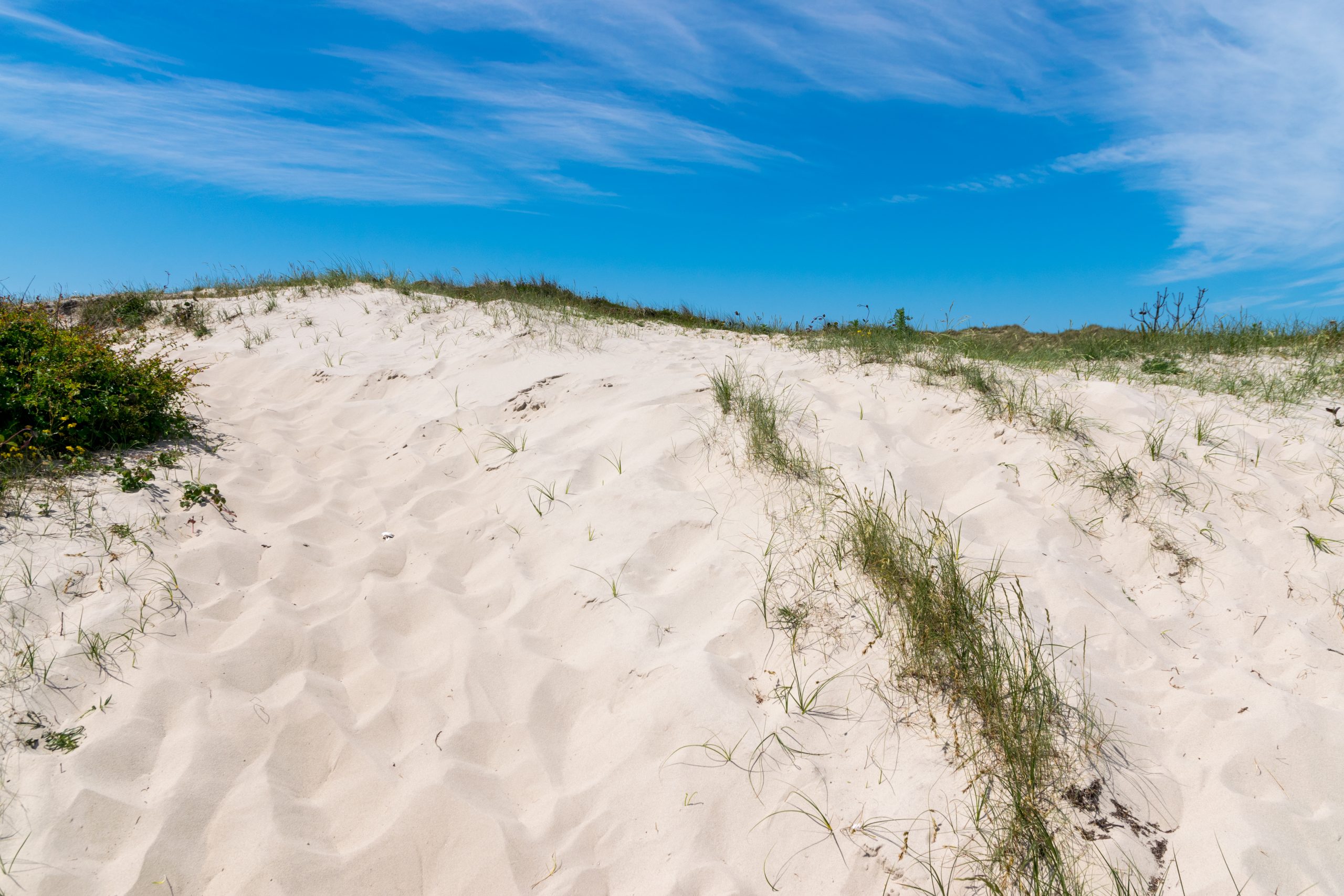 Wandelroute in Schoorl: de prachtige stuifduinentocht!
