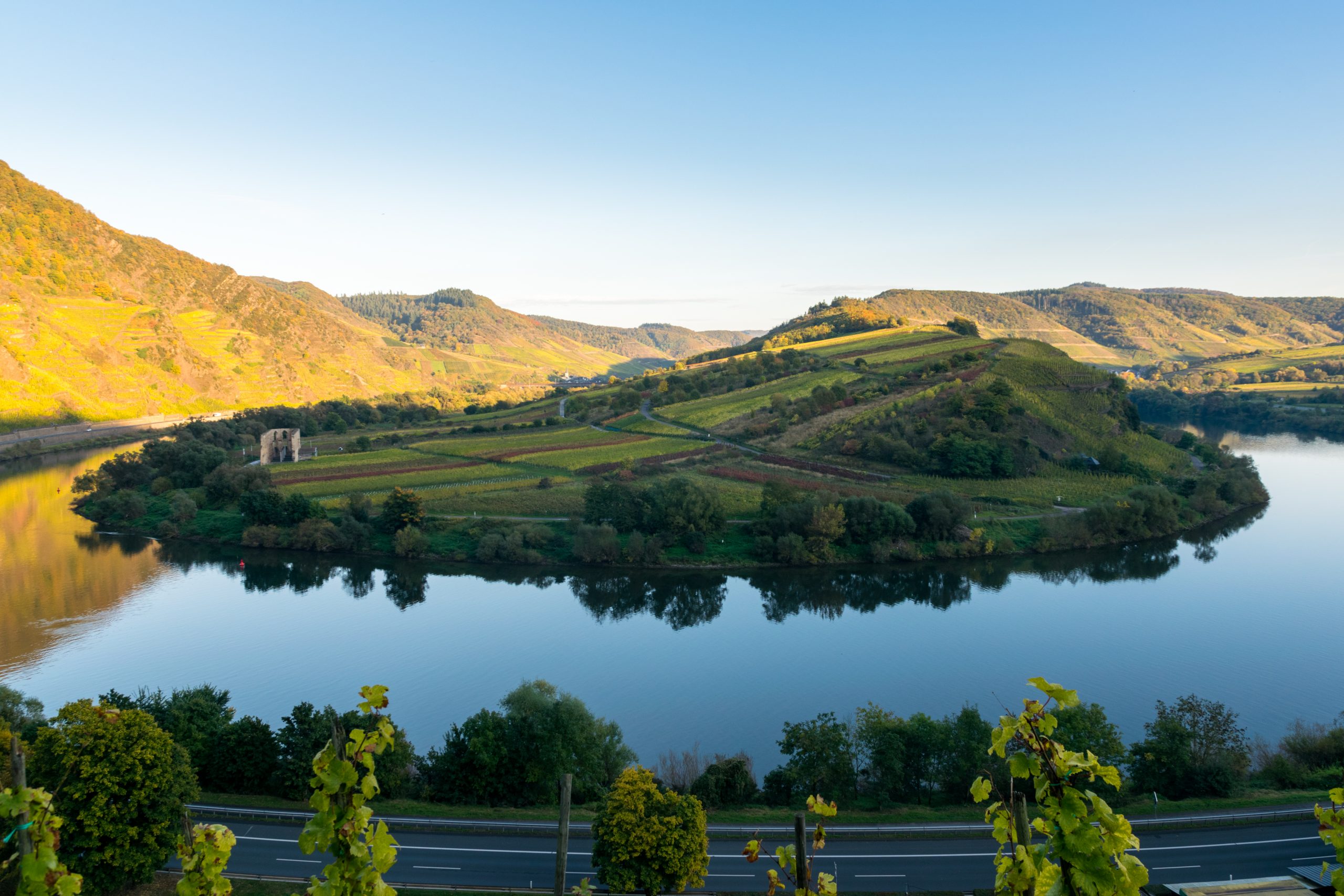 Moezel uitzichtpunten: dit zijn de mooiste uitzichtpunten langs de Moezel!