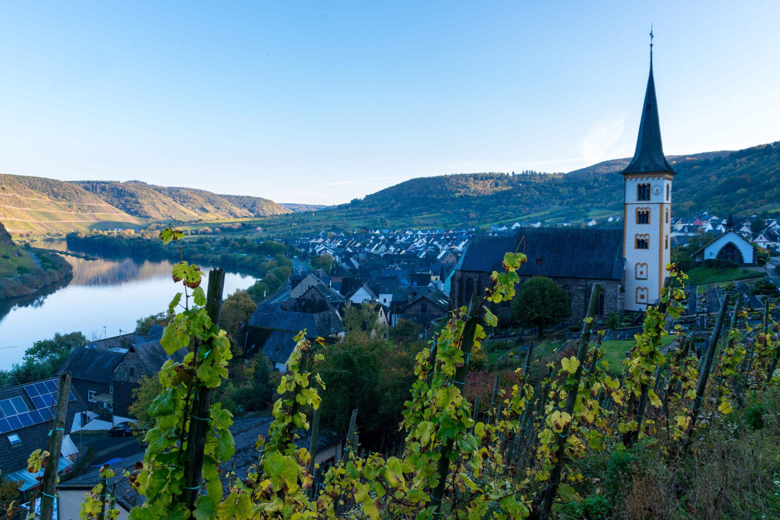 Moezel uitzichtpunten: dit zijn de mooiste uitzichtpunten langs de Moezel!