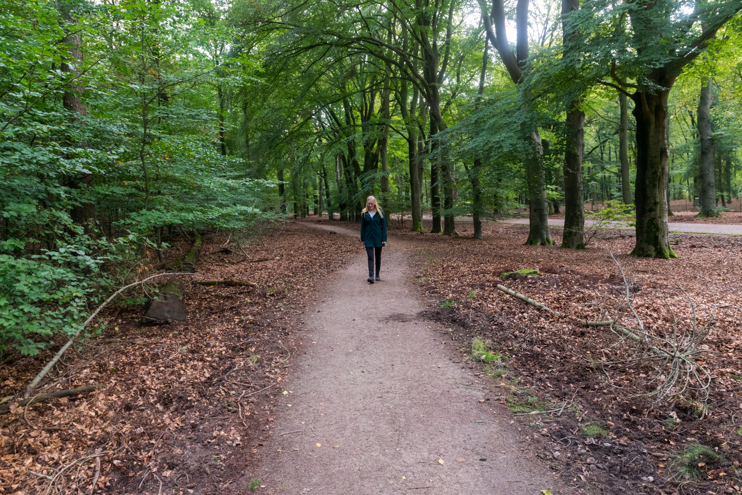 Wandelen op de Hoge Veluwe: mooiste wandelroutes op de Hoge Veluwe