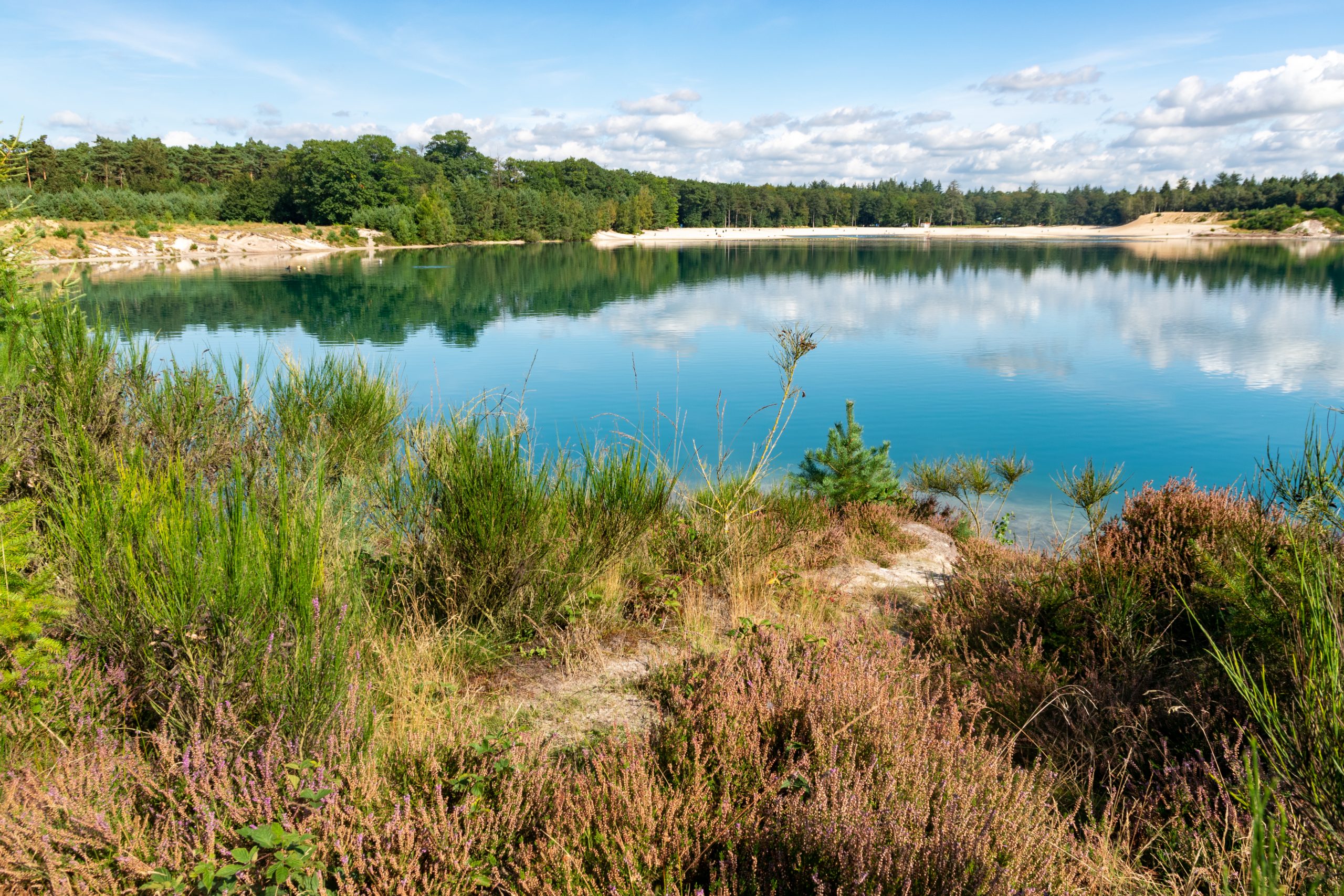Gasselterveldroute in Drenthe: prachtig wandelen bij ’t Nije Hemelriek