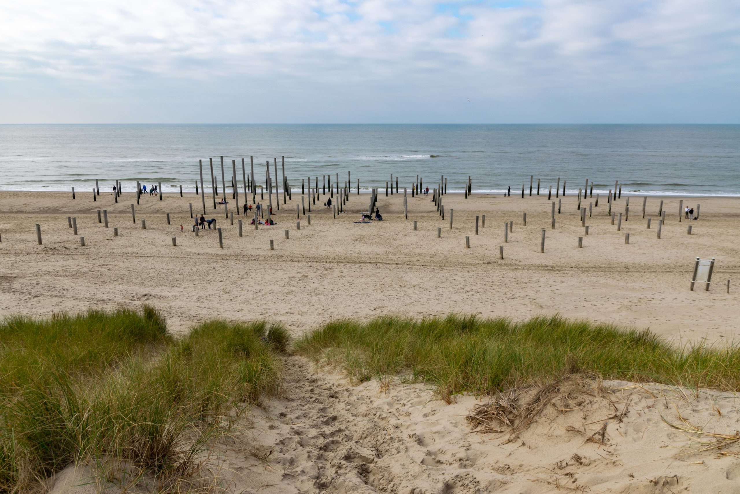 Petten aan Zee bezoeken: wat te doen in Petten? - Travellers of the world