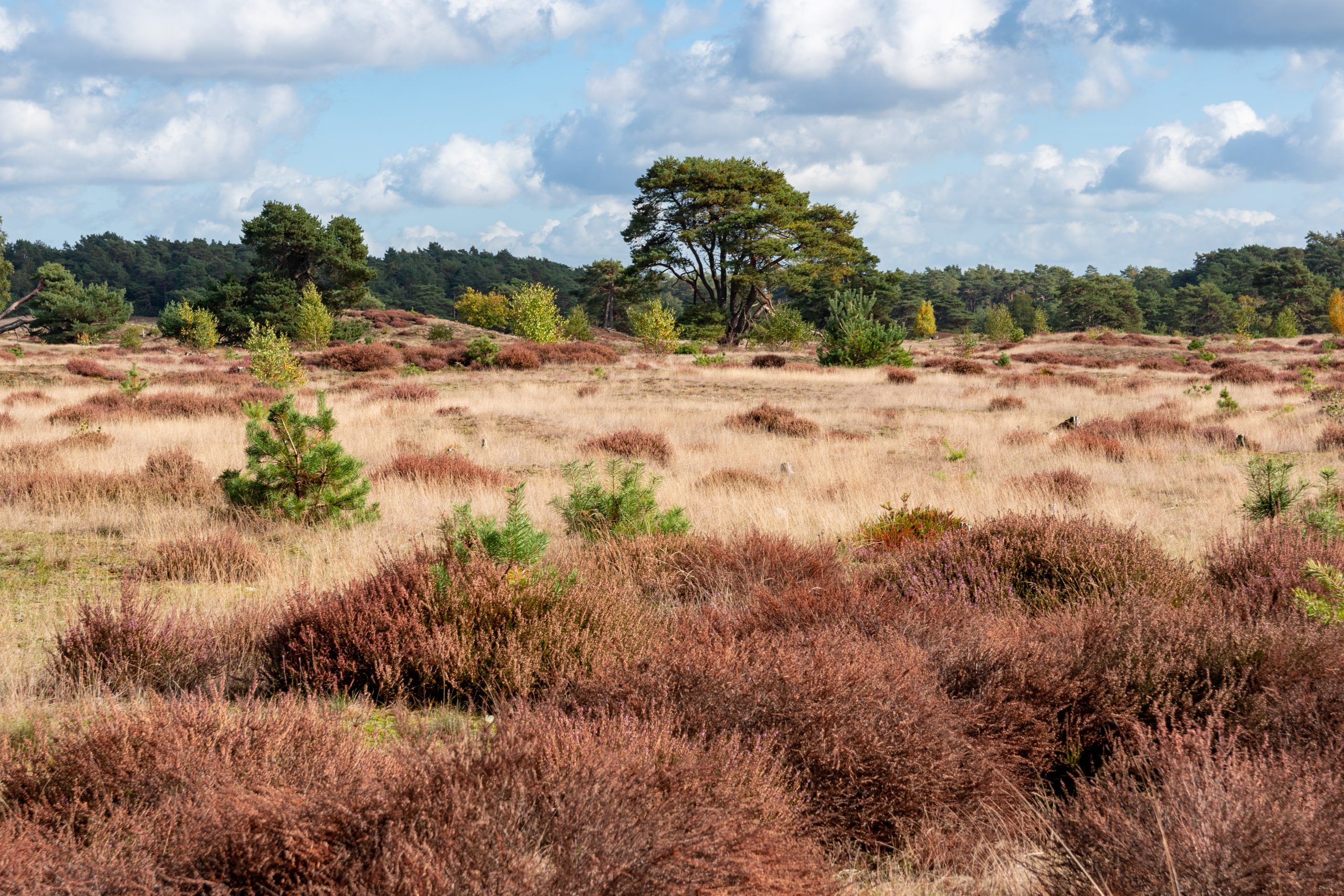 12x leuke plekken voor een weekend weg in Nederland