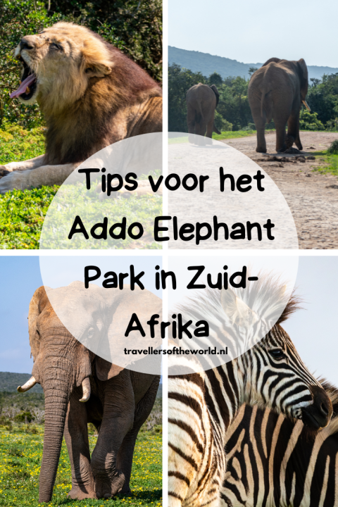 Tips voor het Addo Elephant Park in Zuid-Afrika bezoeken - Travellers ...