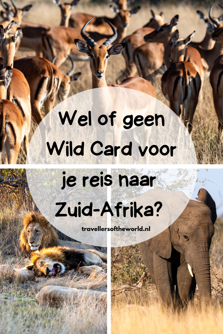 Wild Card Zuid-Afrika: wel of geen Wild Card voor je reis?
