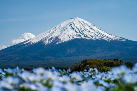 Reisroute Japan: de perfecte route voor 2-3 weken Japan - Travellers of ...