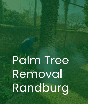 Palm Tree Removal Randburg