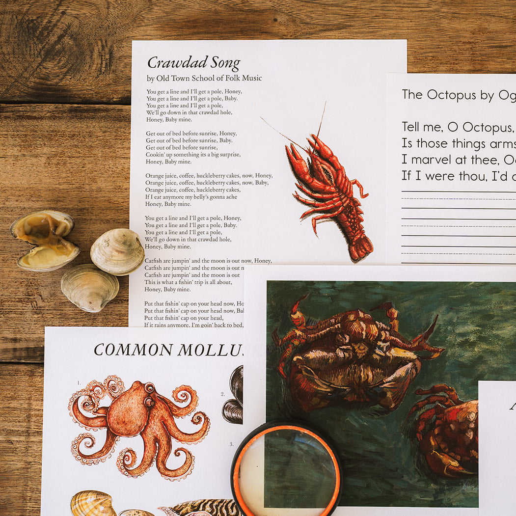 How to Use and Organize Digital Homeschool Curriculum | Treehouse ...