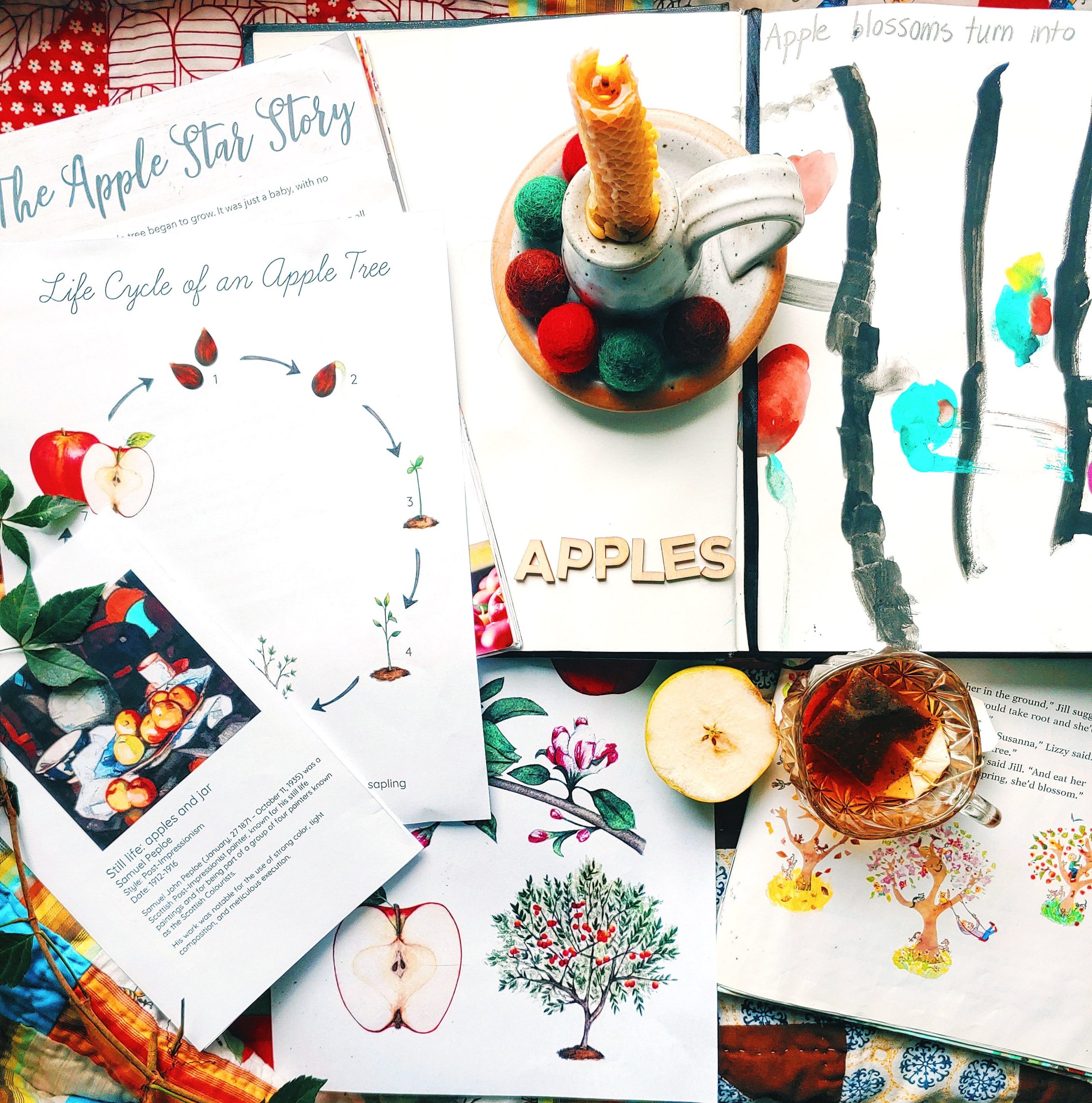 Charlotte Mason Inspired Apple Study [updated 2022] | Treehouse ...