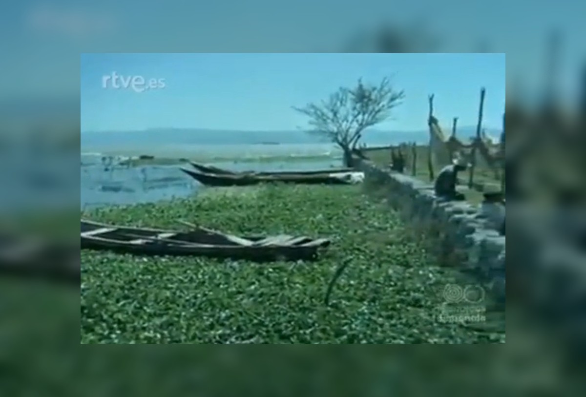 Antes y después del Lago de Chapala: Del esplendor a la escasez