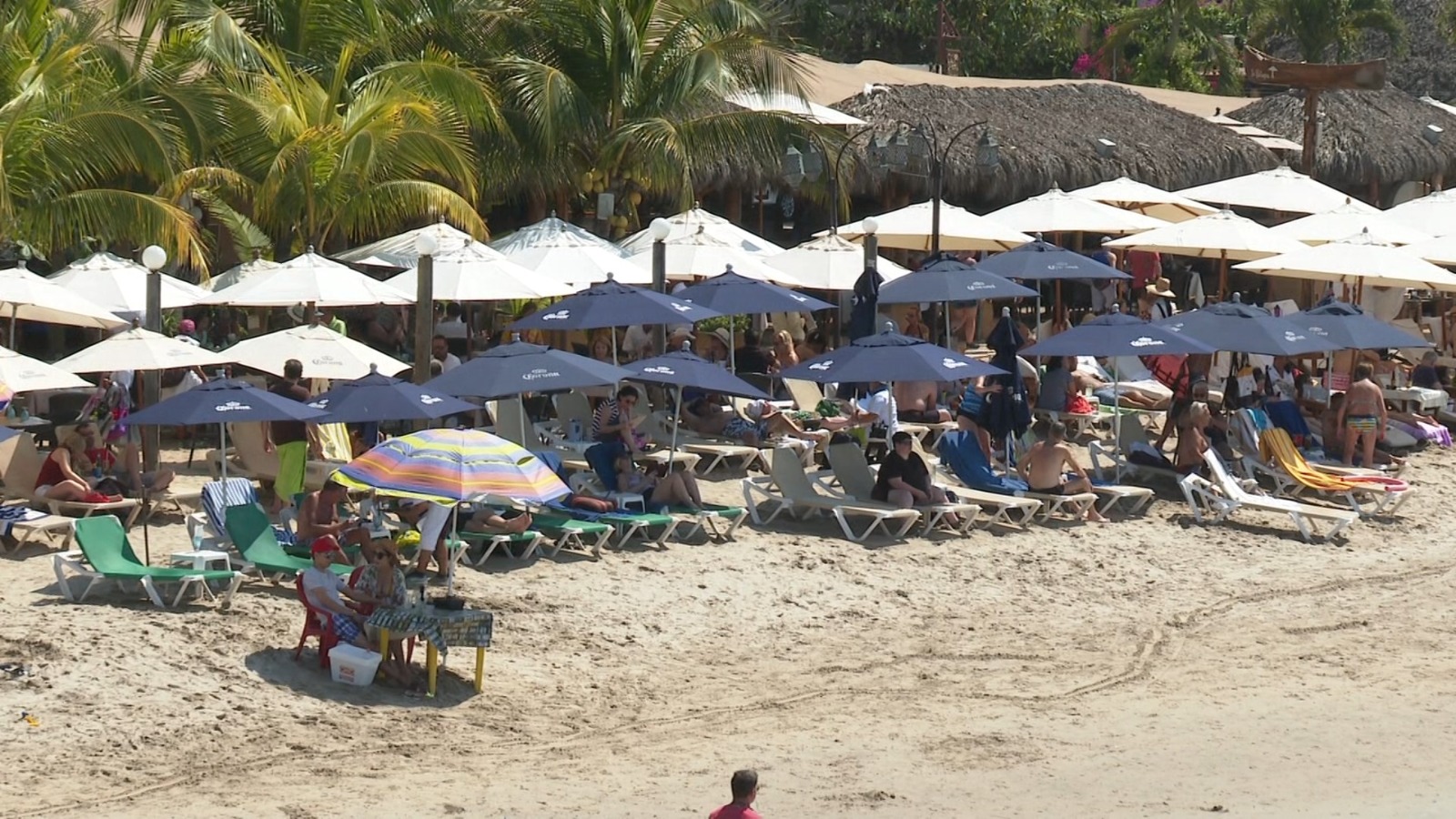 Puerto Vallarta espera superar el 73% de ocupación en verano