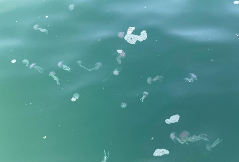 Cierran playa FIBBA por presencia agua mala y corrientes de retorno