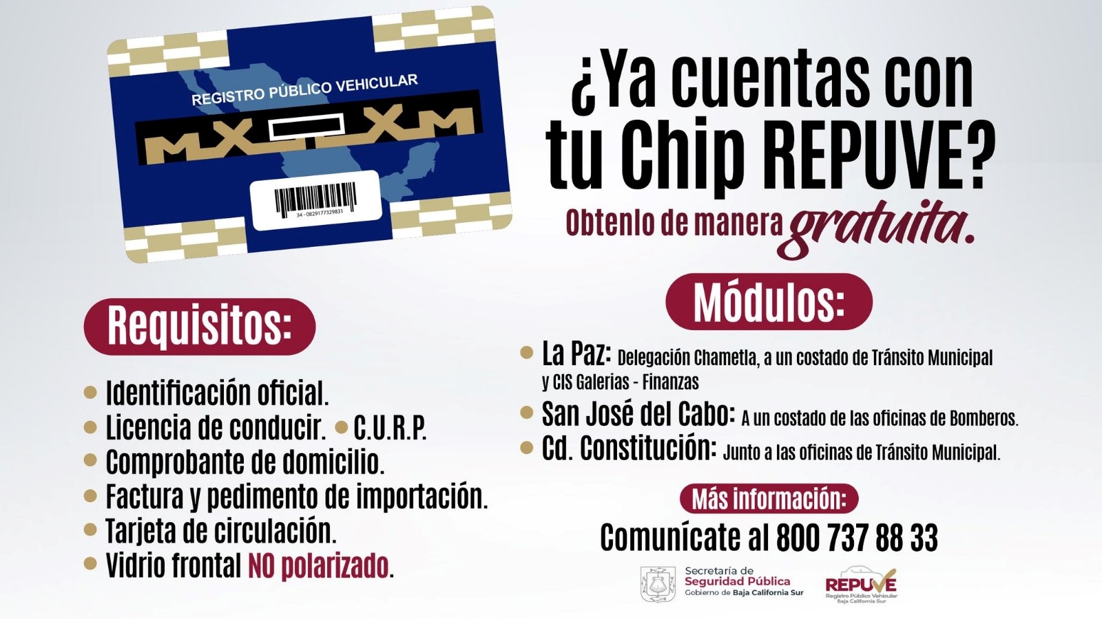 Chip Repuve, herramienta para prevenir el robo de vehículos